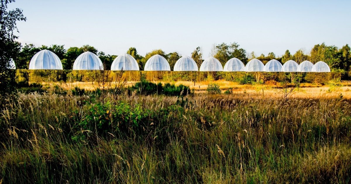 Onderzoekscentrum Ecotron | VAi